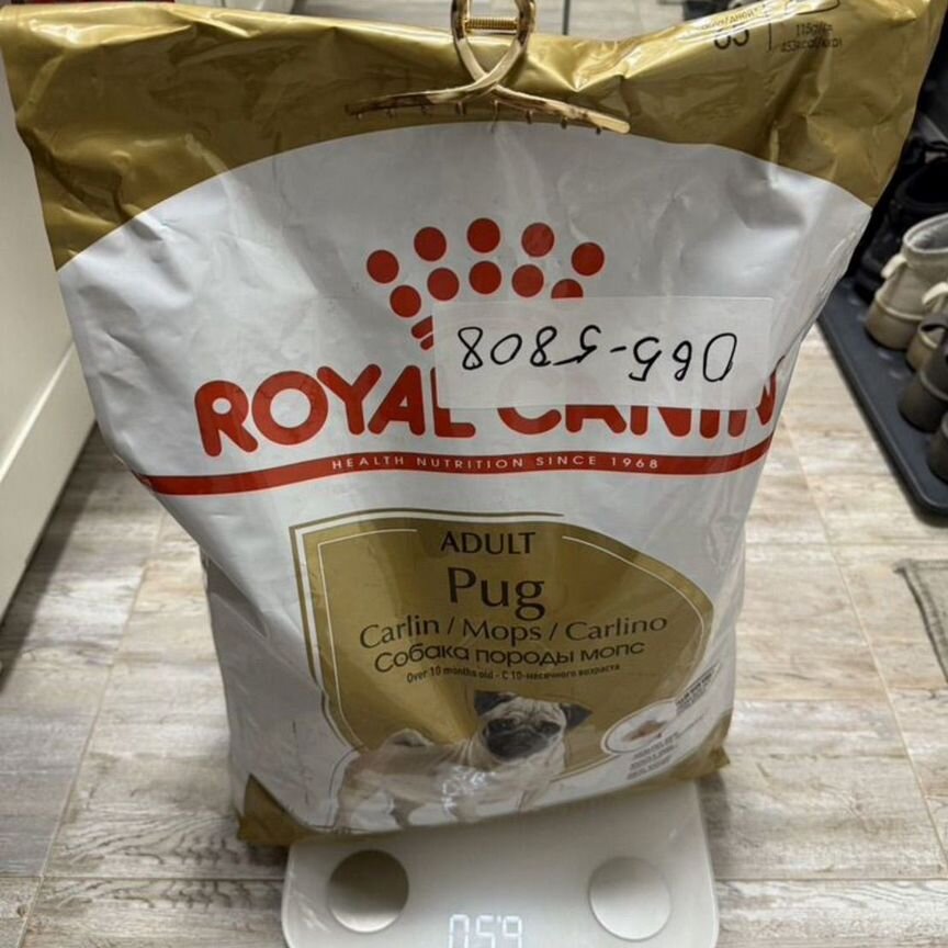 Корм для собак royal canin pug