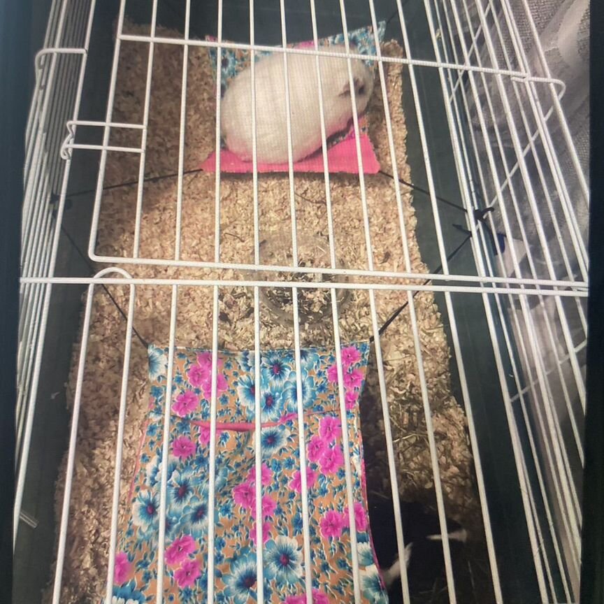 Большая клетка для грызунов