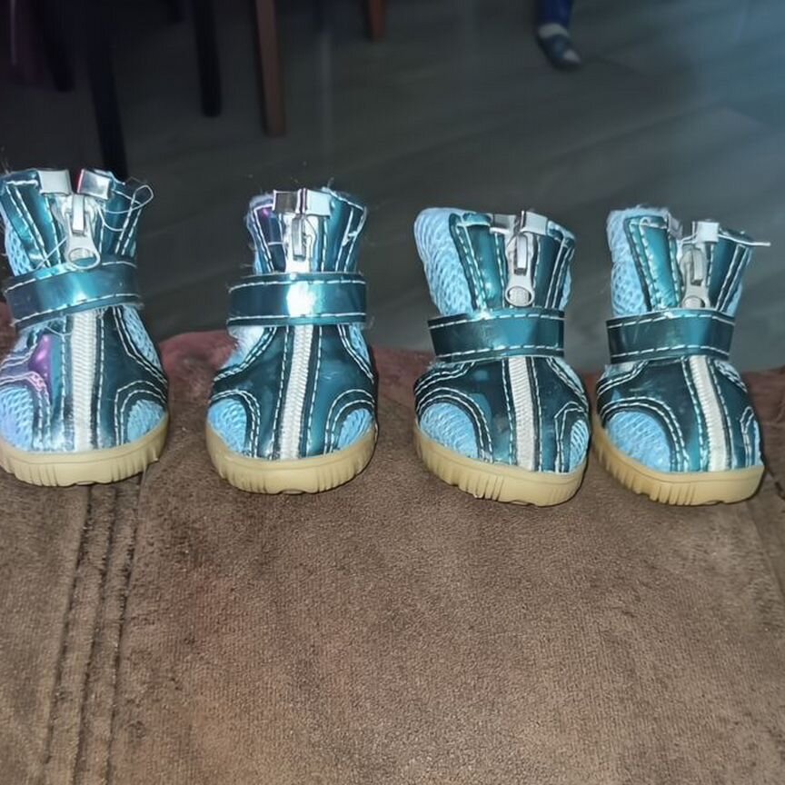 Ботинки для собак