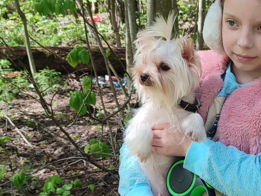 Девочка голддаст