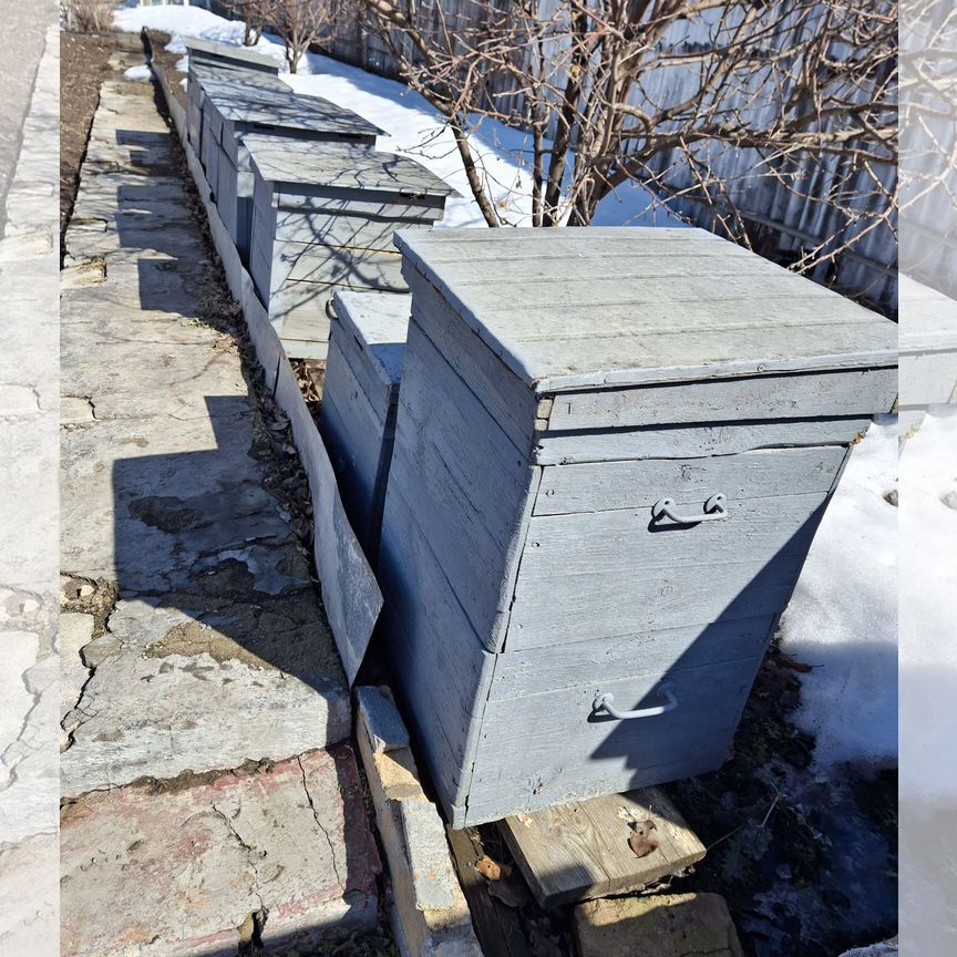 Продам пасеку с прицепом
