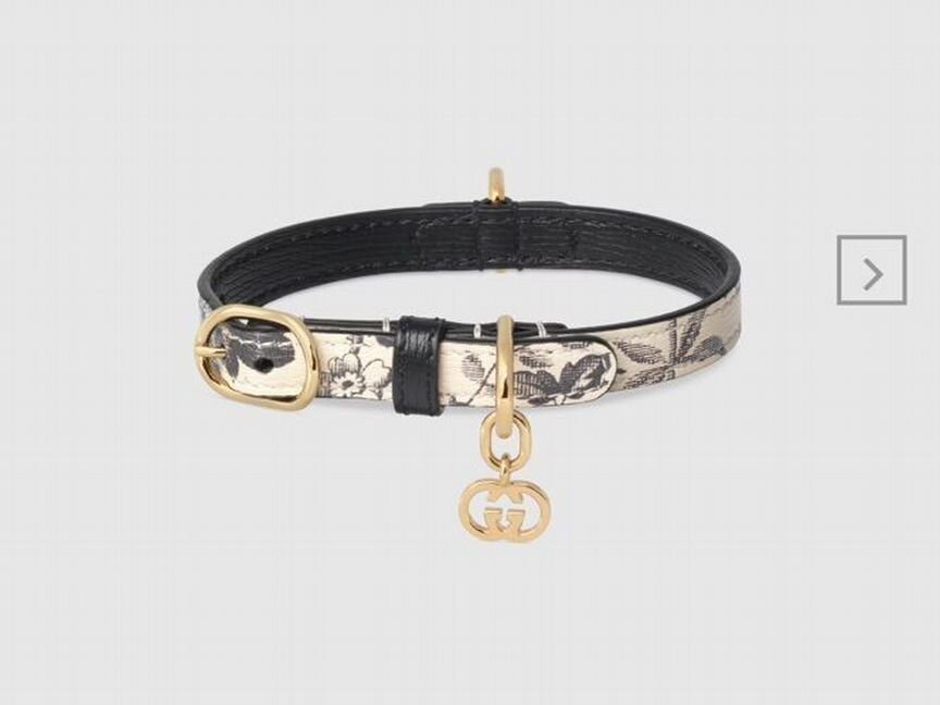 Ошейник Gucci