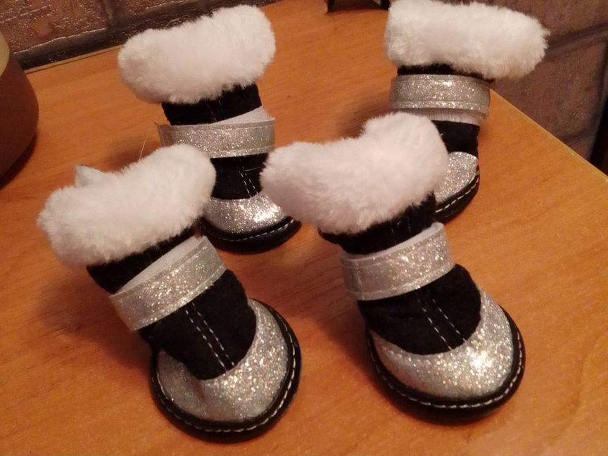 Ботиночки для собак