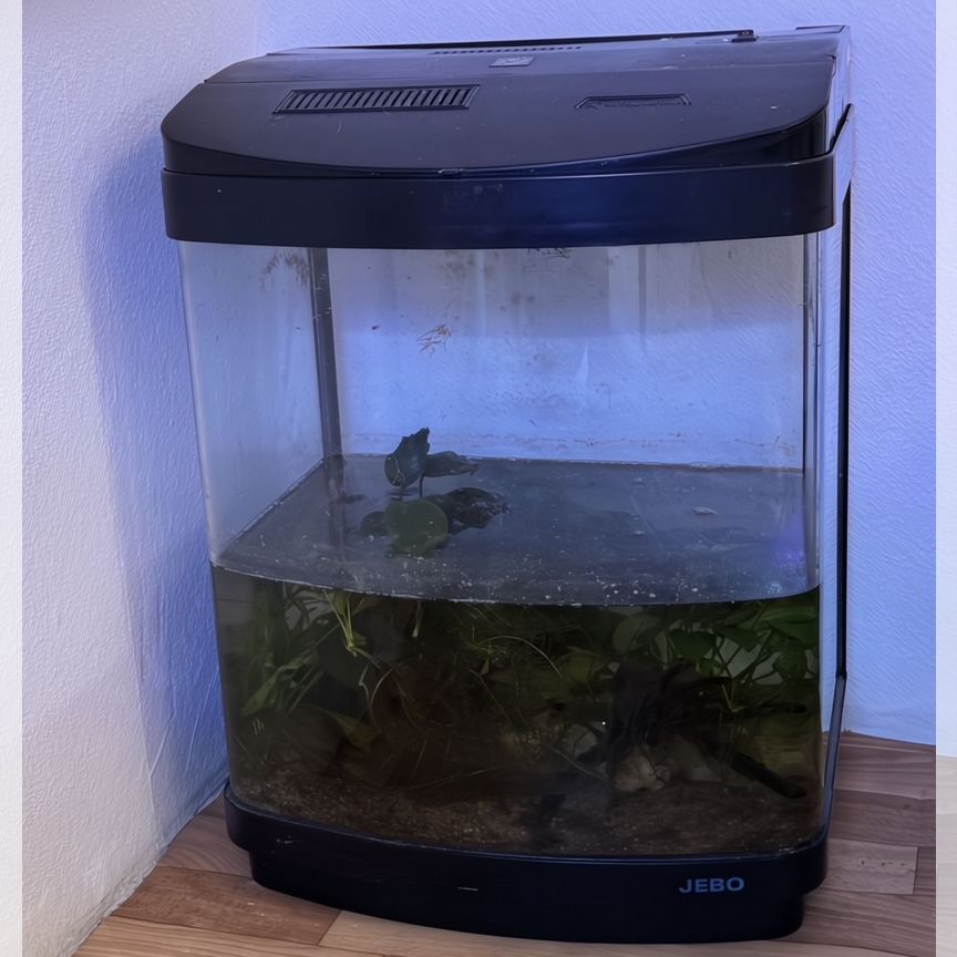 Аквариум jebo