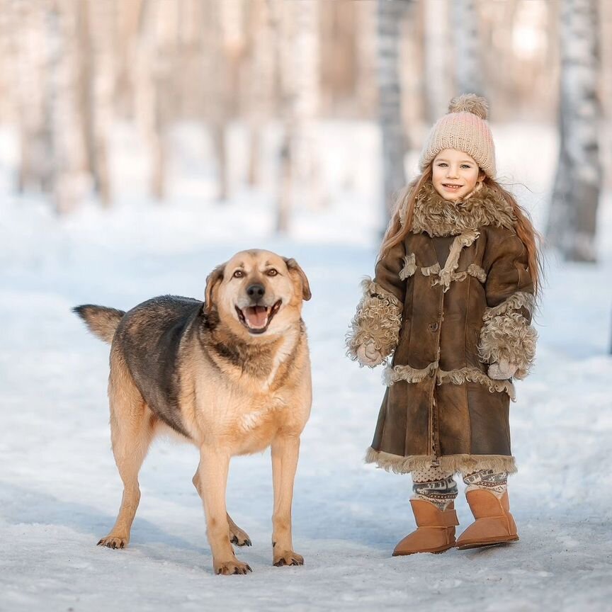 Собака в добрые руки