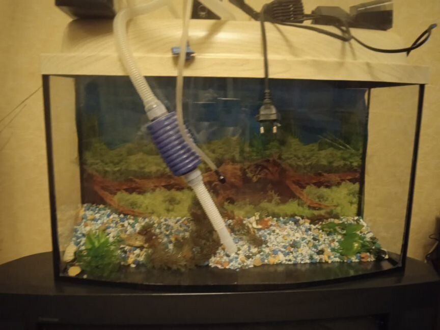 Аквариум на 40 литров