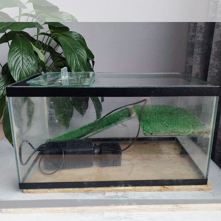 Аквариум для черепах