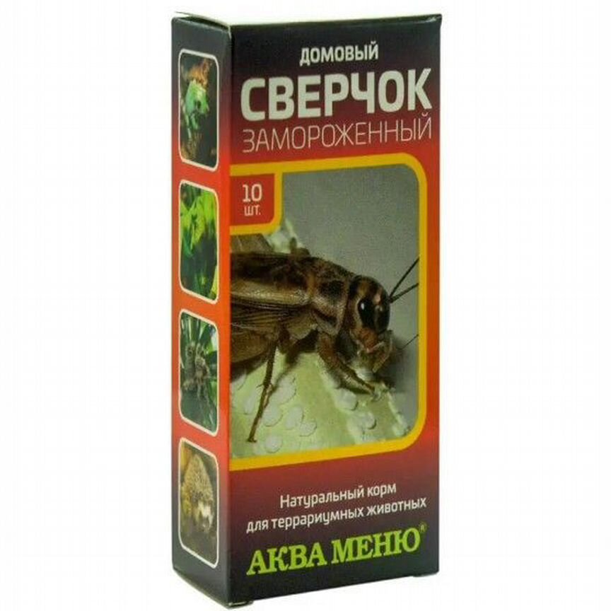 Замороженные сверчки домовые