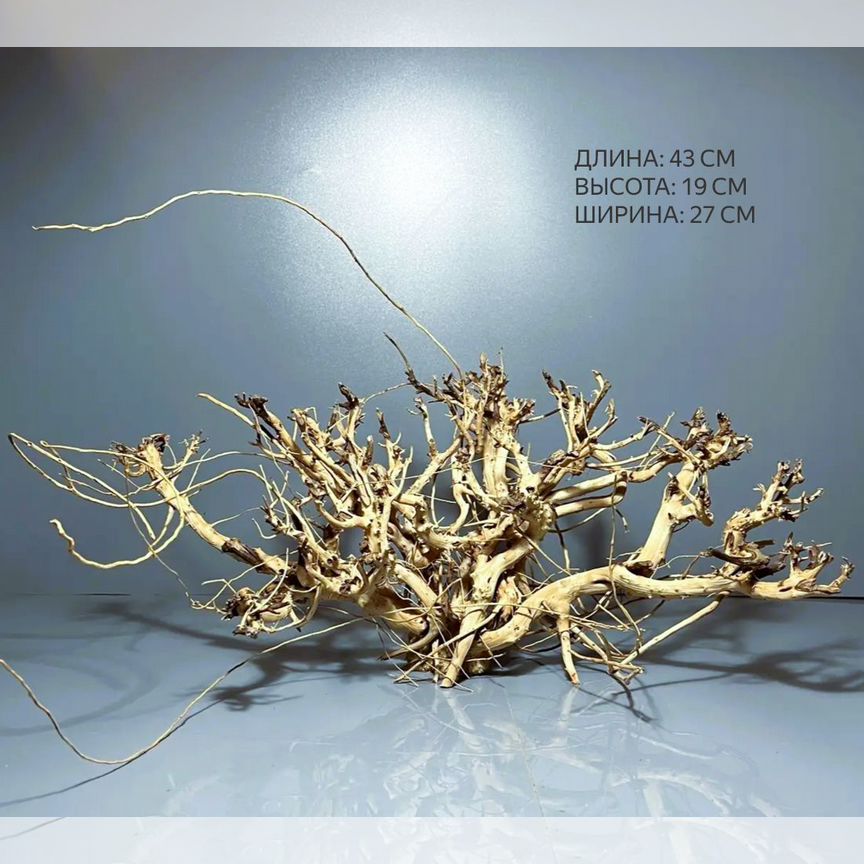 Изящная коряга-деревце 2 для аквариума 43*27*19см