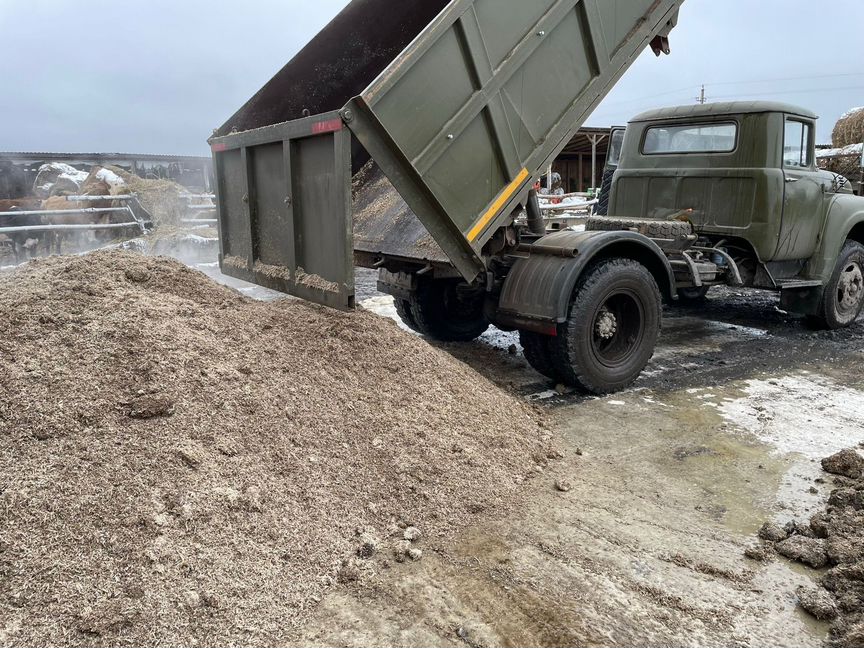 Жом свекловичный сырой