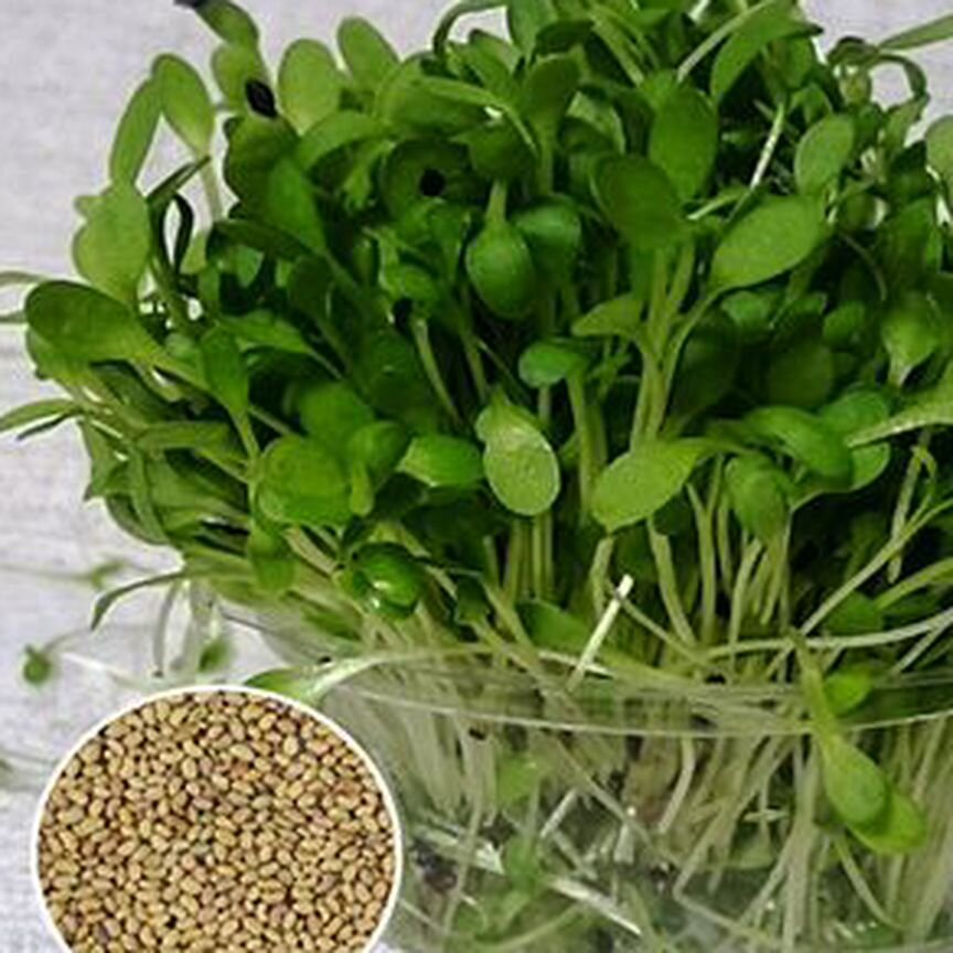 Микрозелень семена