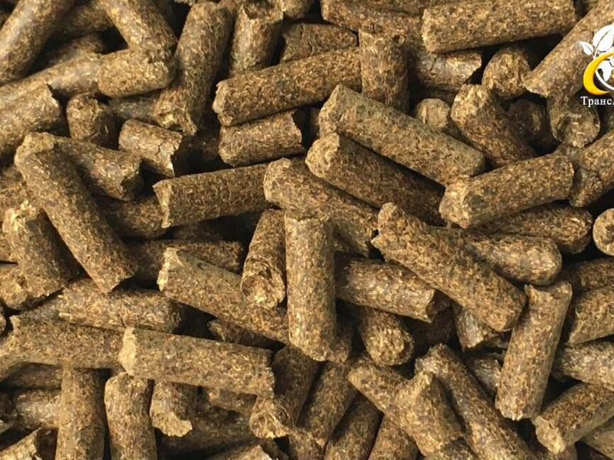 Рапсовый шрот