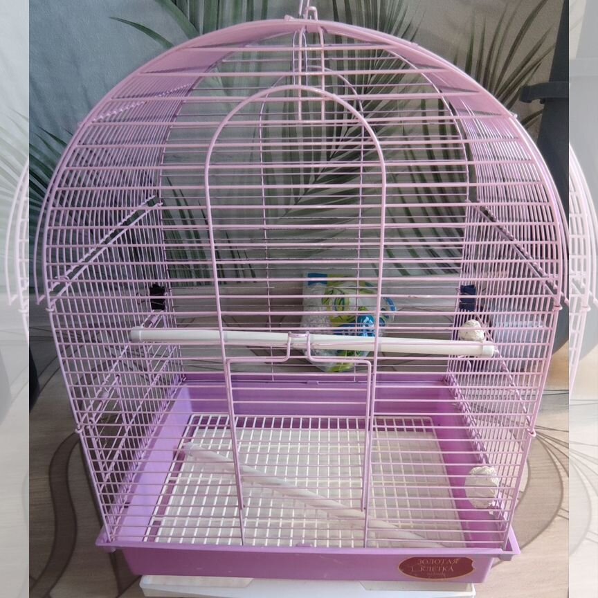Клетка для попугая