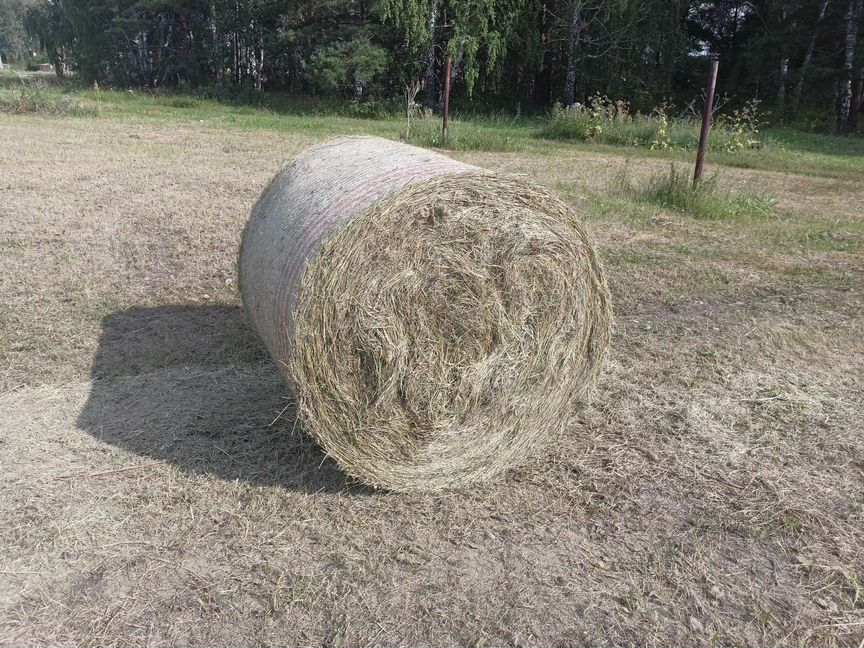 Сено в рулонах и тюках