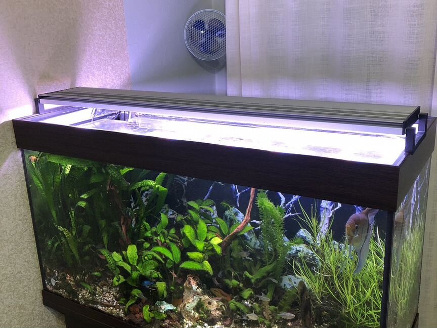 Аквариумный светильник