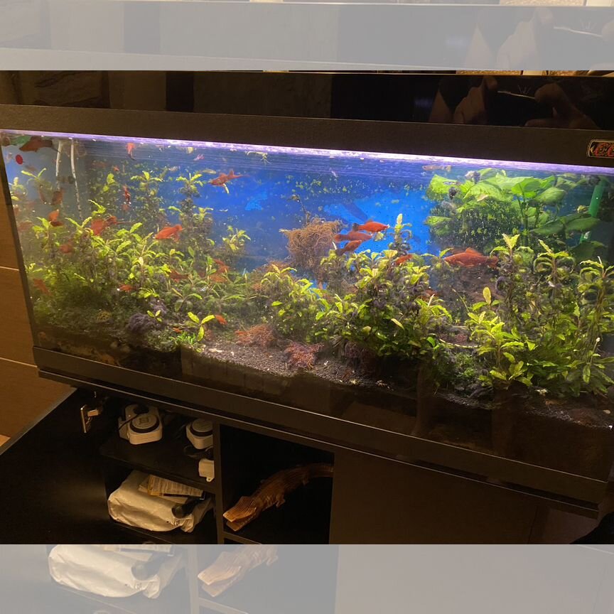 Аквариум с тумбой