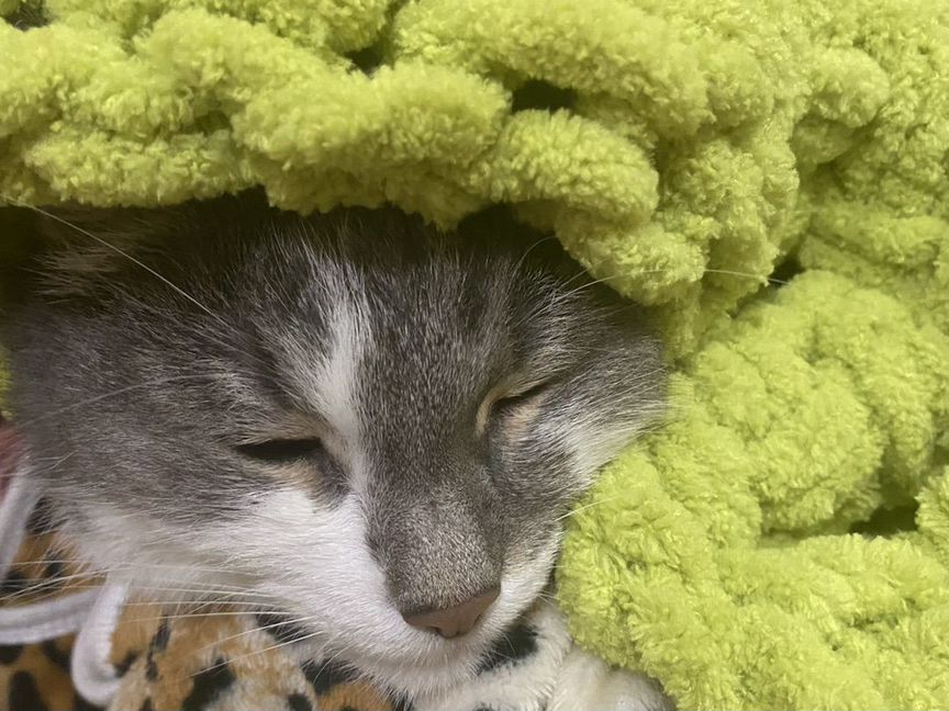 Плед-подстилка для хвостиков