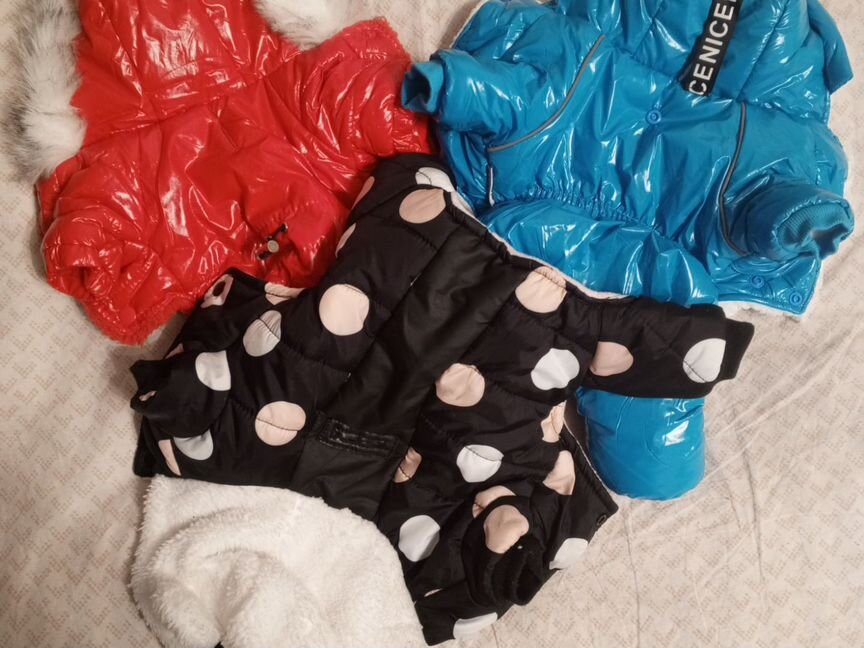 Суперские новые комбинезоны для собачек