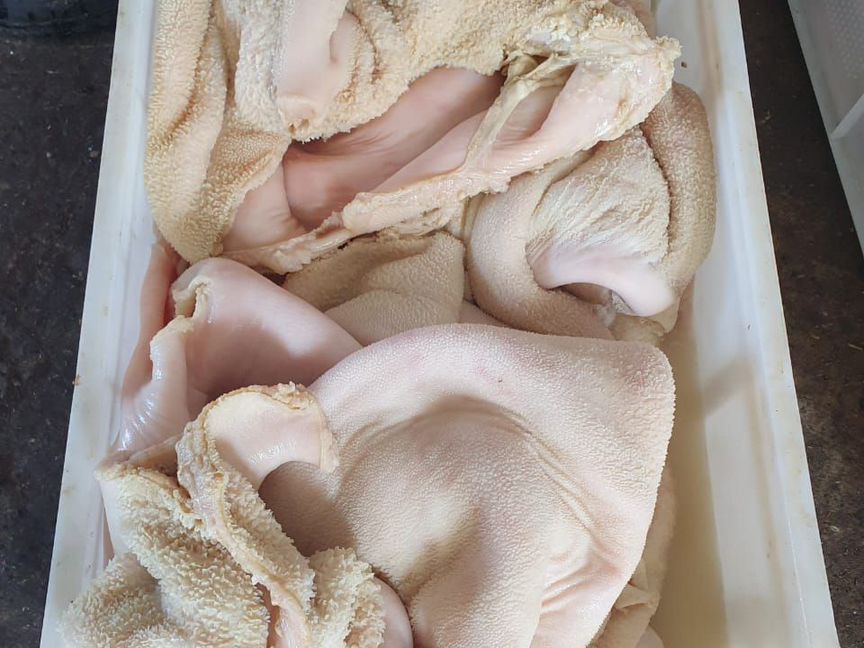 Рубец говяжий, легкое, субпродукты, обрезь, трахея