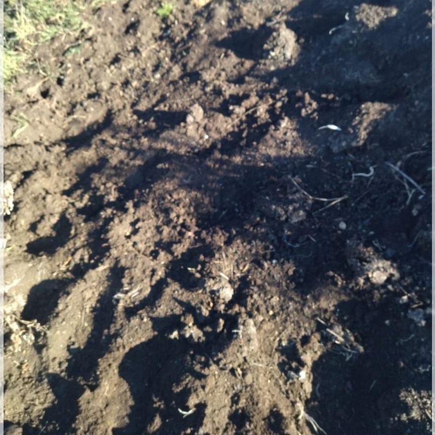 Перегной крс