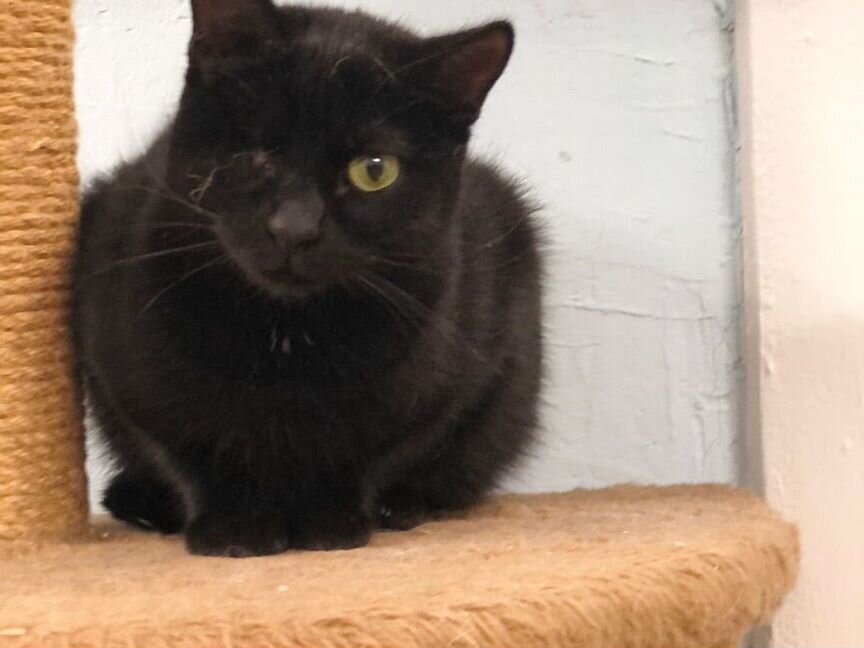 Девочка с одним глазиком