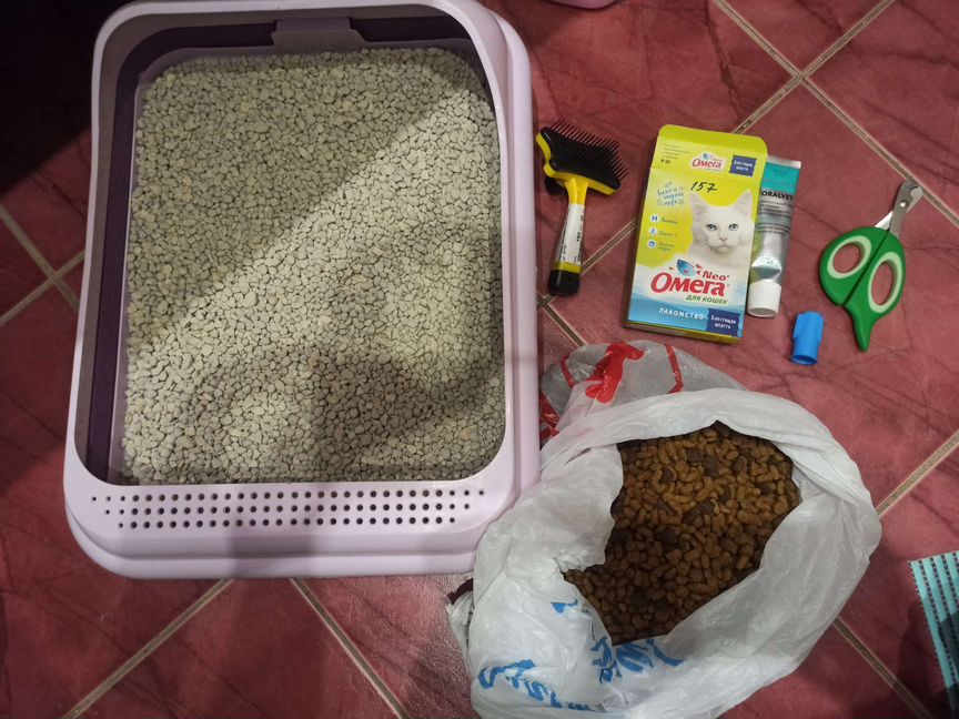 Лоток, чесалка, миски для кота