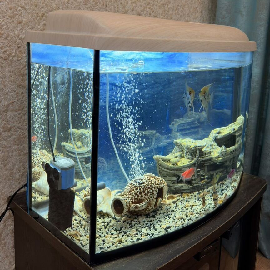 Аквариум с рыбками