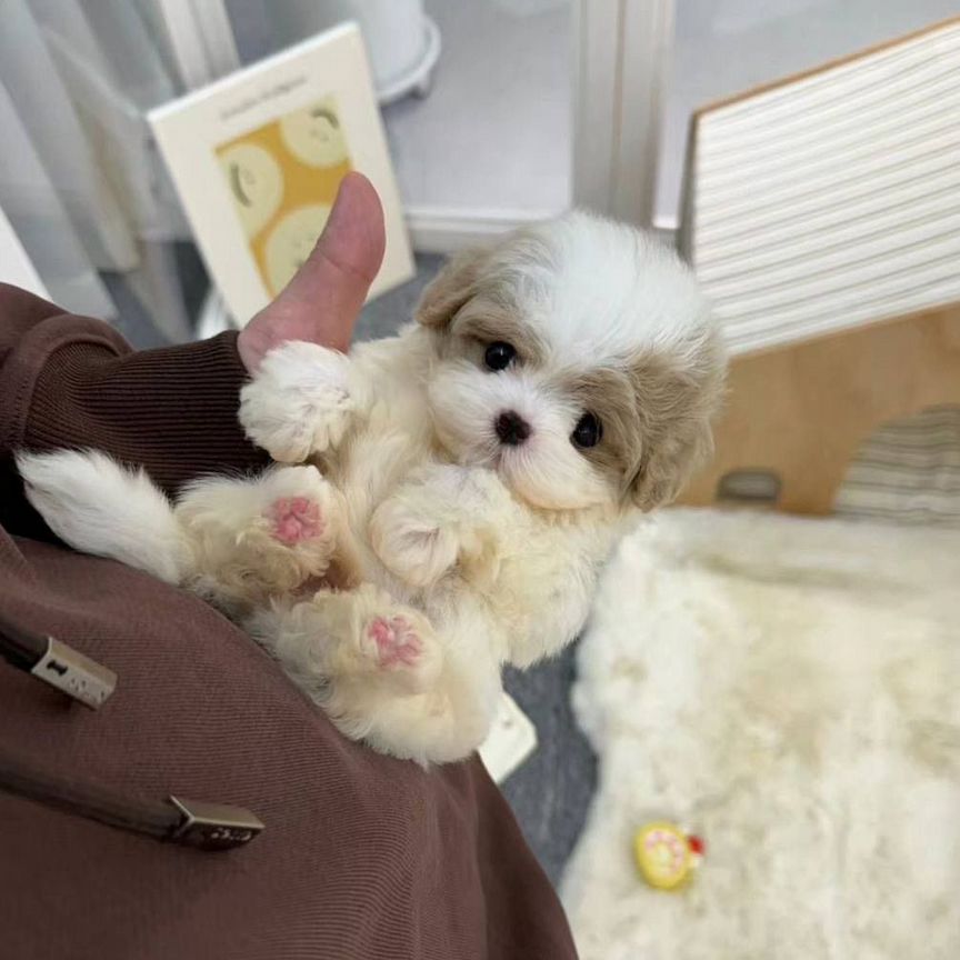 Мультипушки