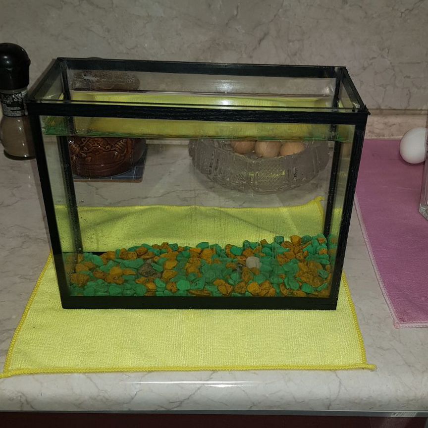 Аквариум 4 литра