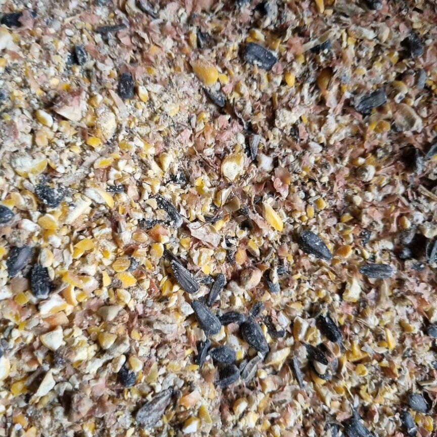 Кукурузный кол с с примесью семечки