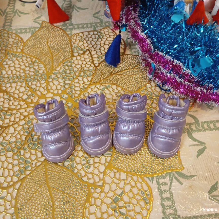 Зимняя обувь для собак