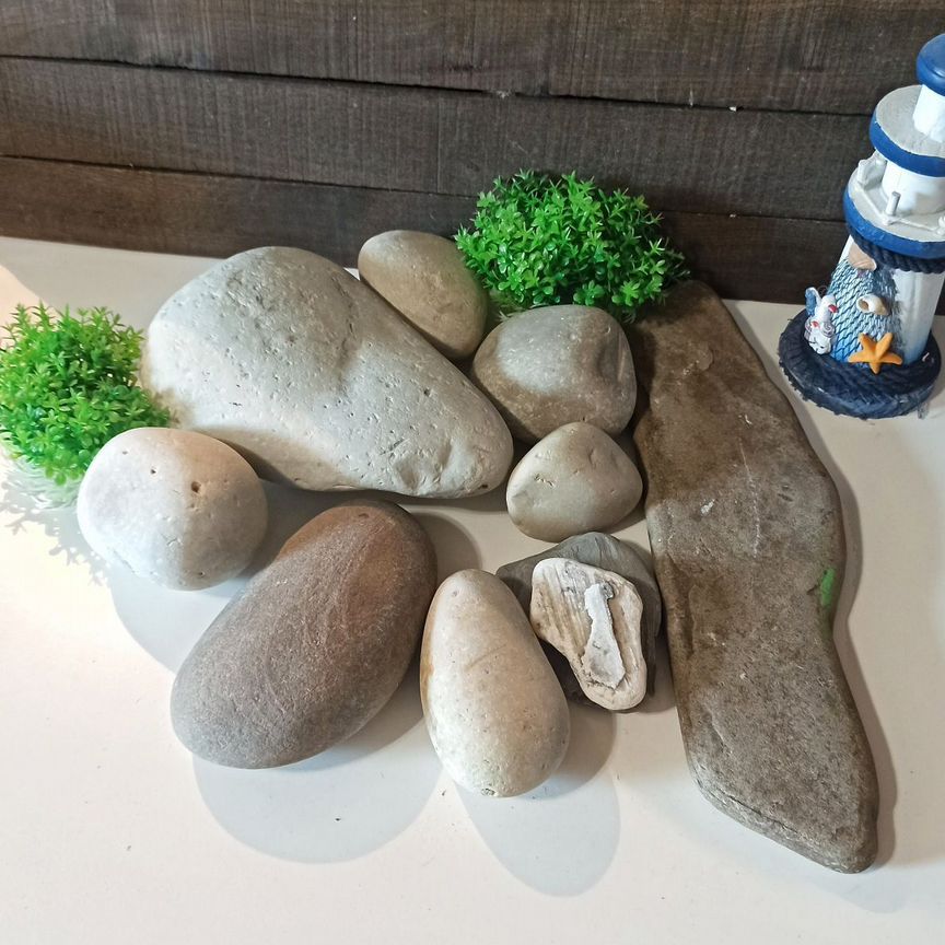 Камни для террариума с моря