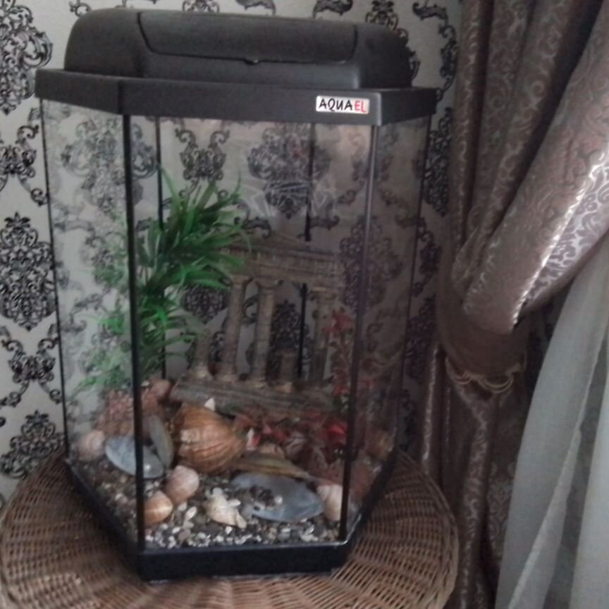 Аквариум