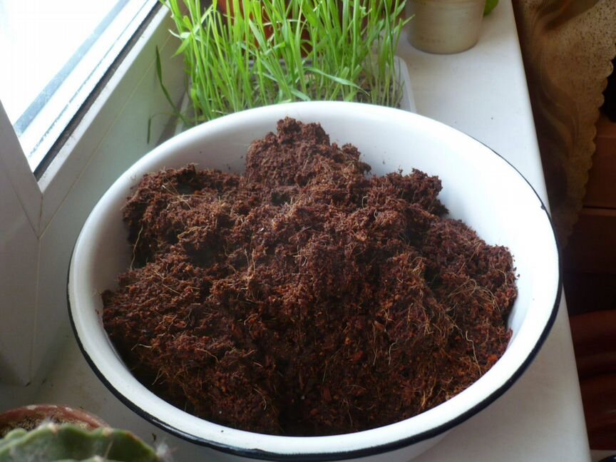 Кокосовый субстрат