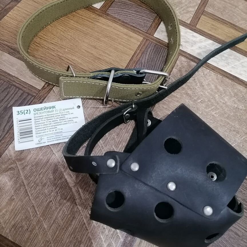 Ошейник и намордник