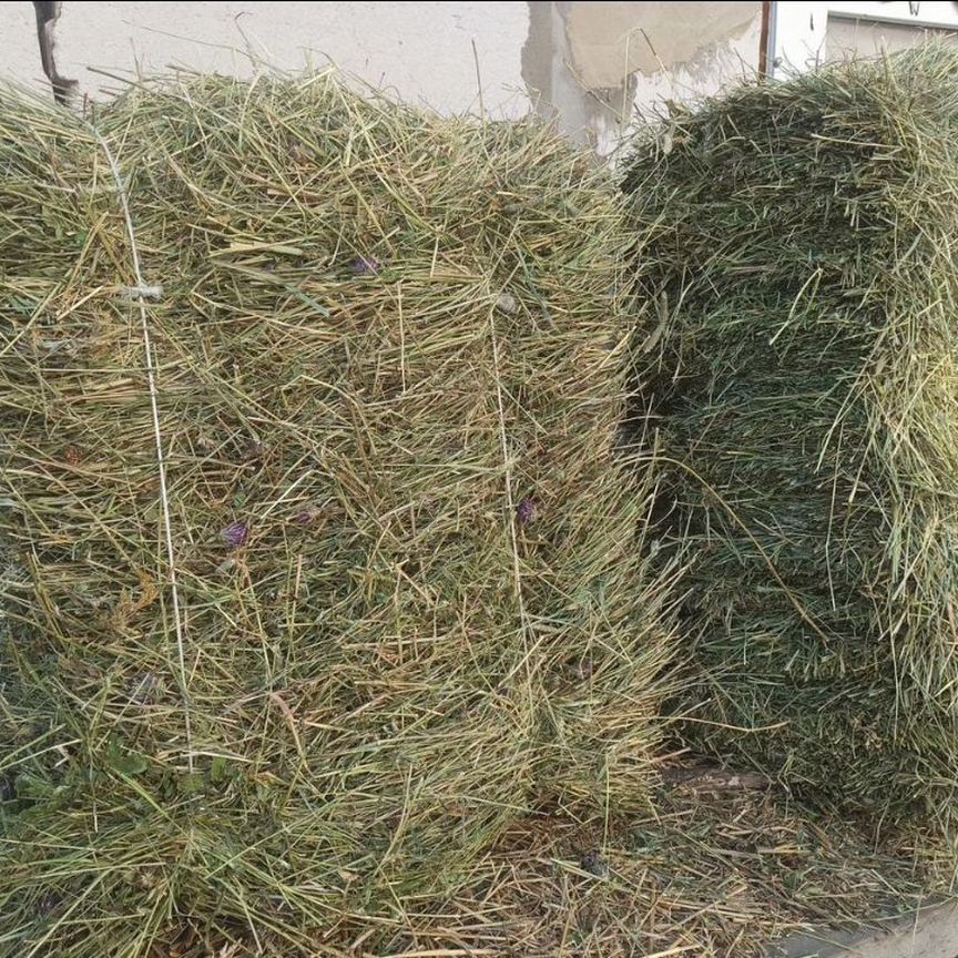 Сено в тюках и мешках