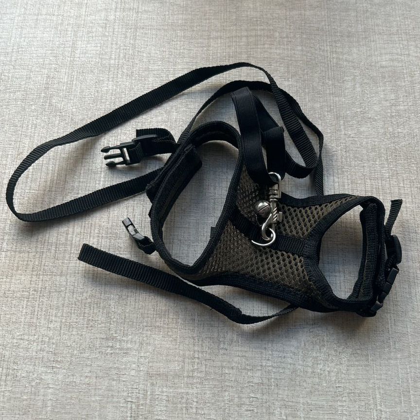 Шлейка для маленьких питомцев