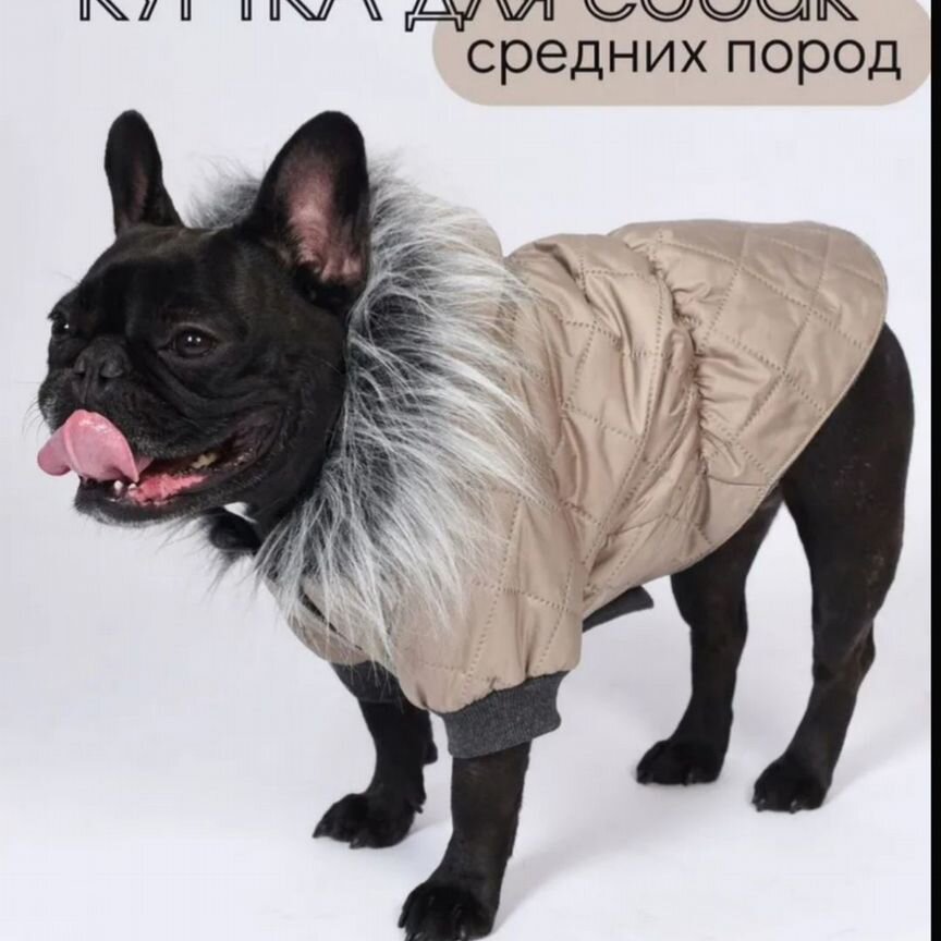 Куртка для собак средних пород