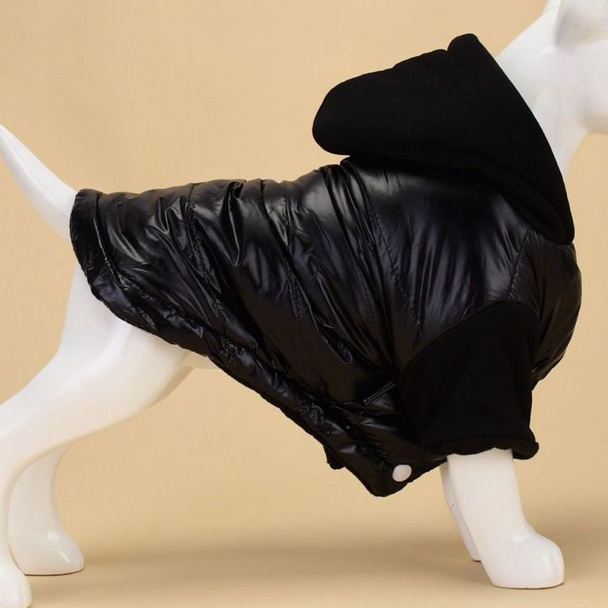 Одежда для собак