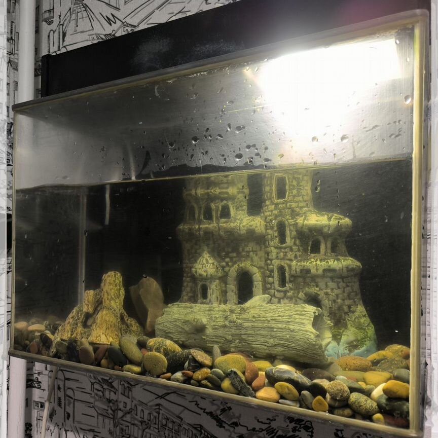 Аквариум с необходимыми аксессуарами