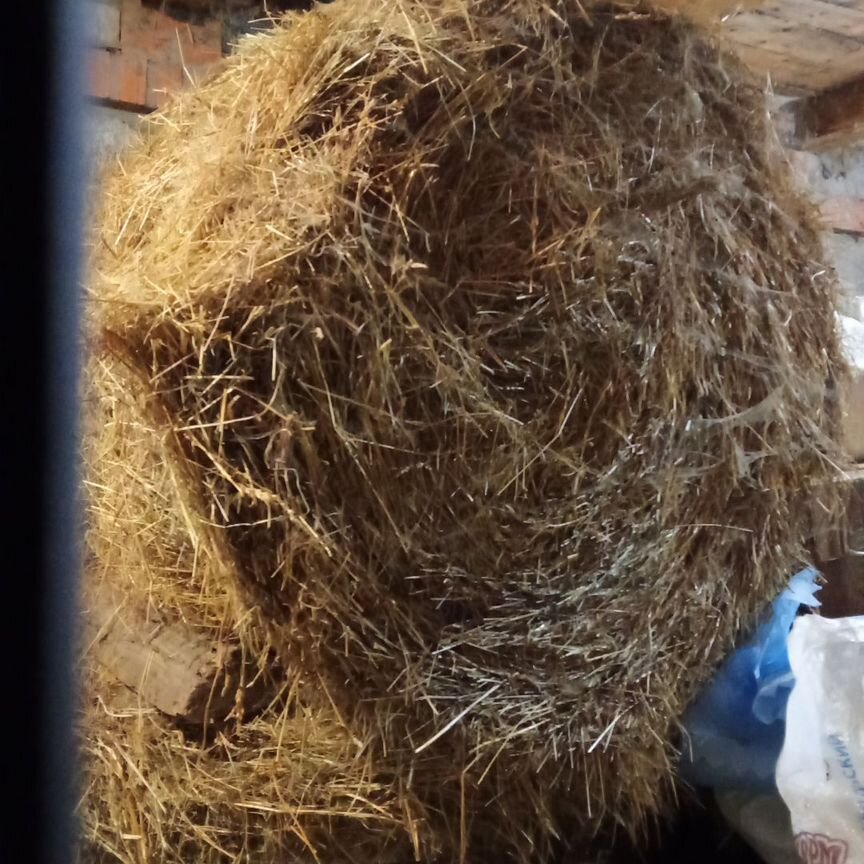 Сено в рулонах