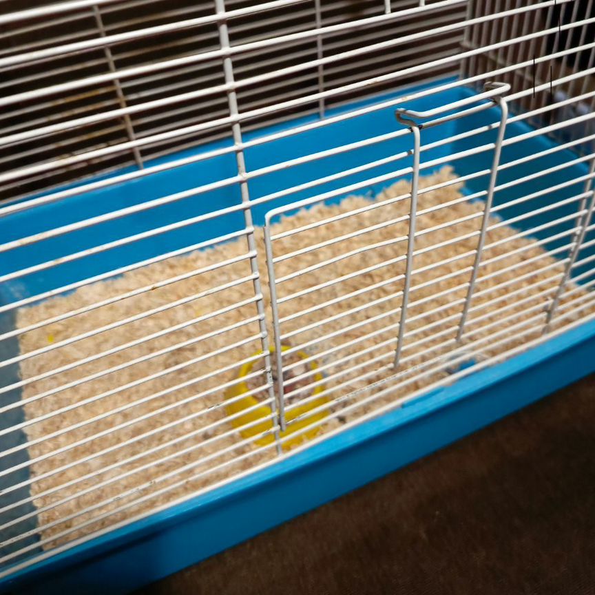 Клетка для птиц