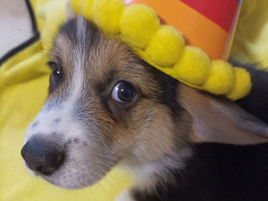 Мужичёк - пуховичёк