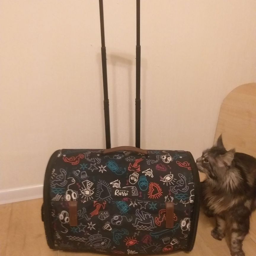 Переносная сумка на колесах для кошек,собак Rurri
