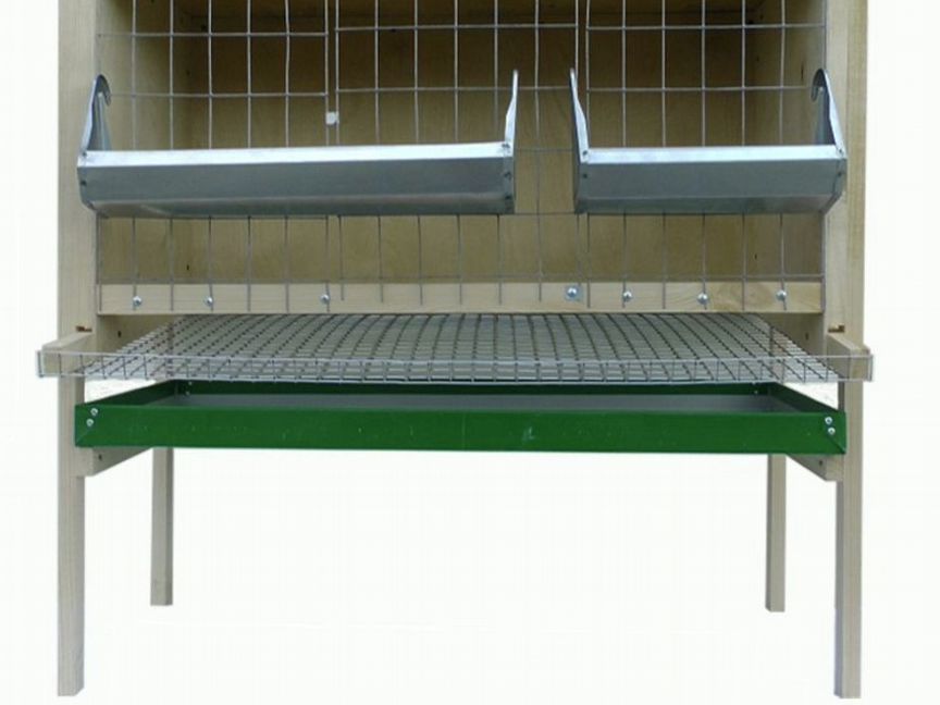 Клетки для куриц с яйцесборником
