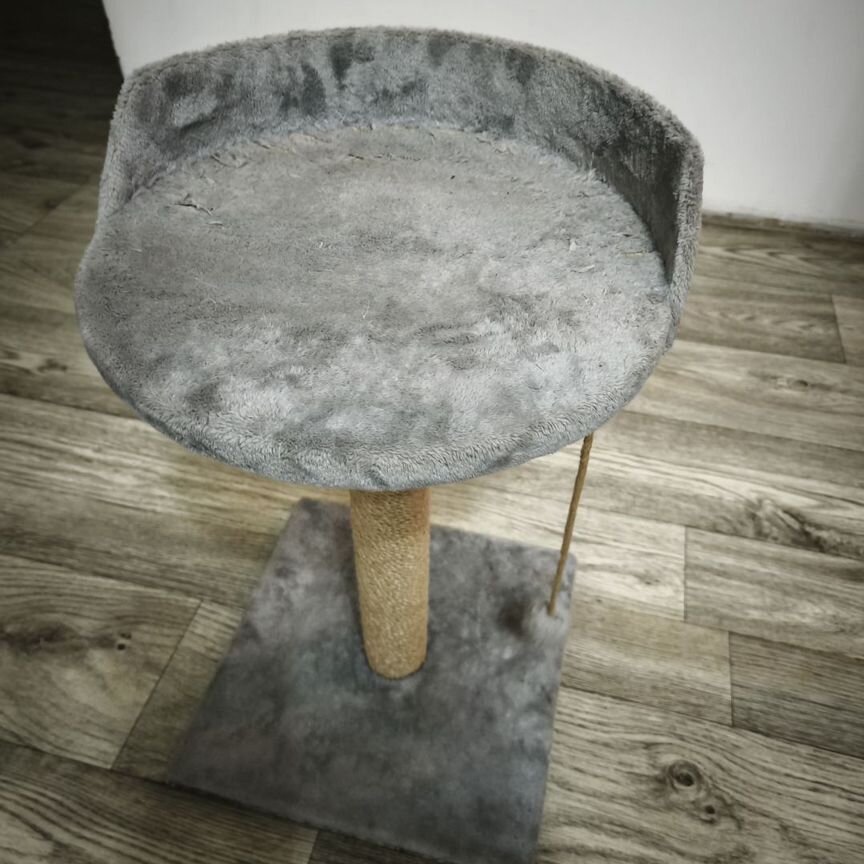 2 когтеточки