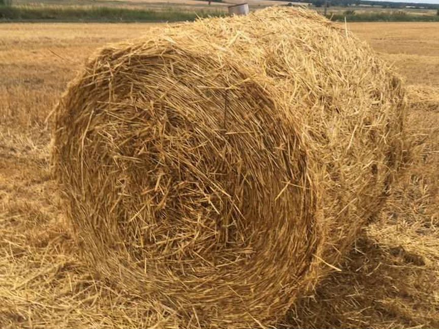 Солома в мешках, в рулонах