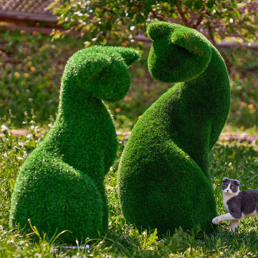 Взрослый кот от частного владельца