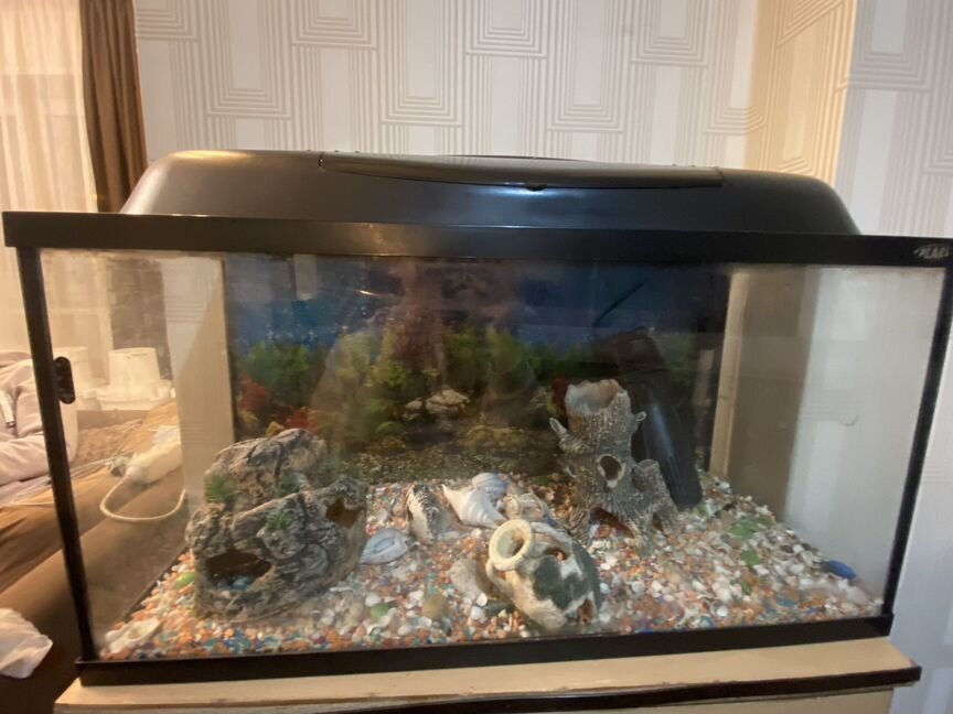 Аквариум Pearl