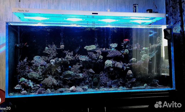 Аквариум